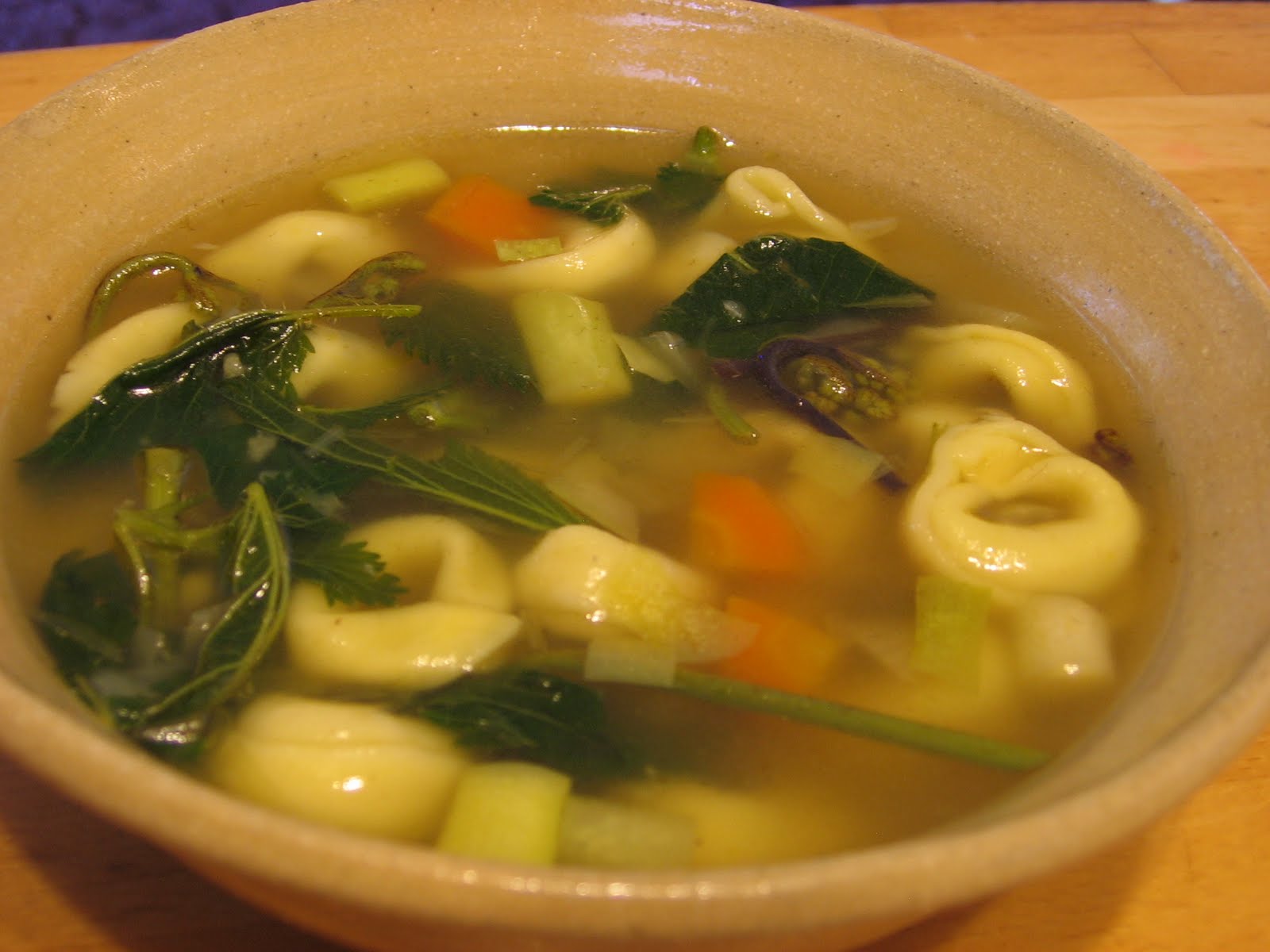 Cattail – The Northwest Forager™