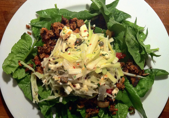 Cattail – The Northwest Forager™