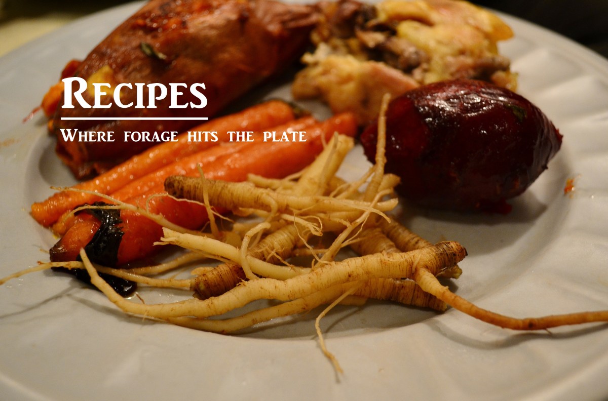 Recipes – The Northwest Forager™